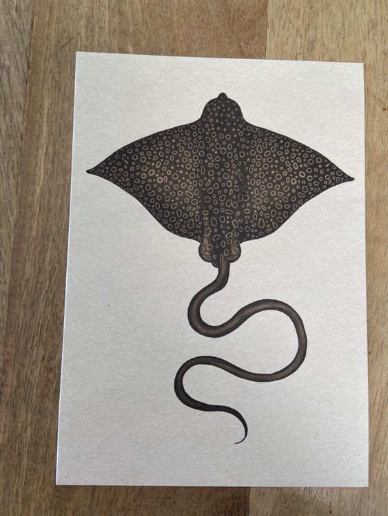 AK Illustration Vintagestyle Gefleckter Adlerrochen Rochen (Neu (gemäss ...