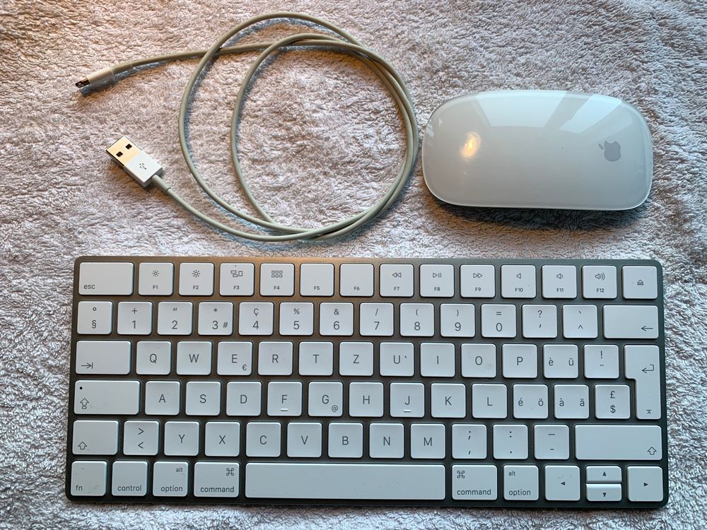 Apple Magic Keyboard + Magic Mouse 2, CH-Layout | Kaufen auf Ricardo