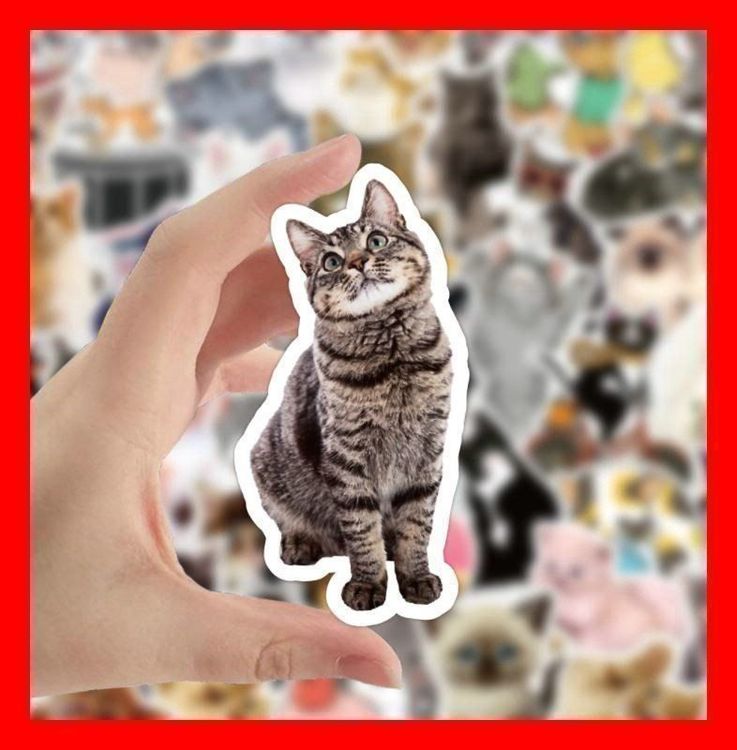 50 tlg Stickerset Stickerbomb Katze Cat (Neu und originalverpackt) in ...