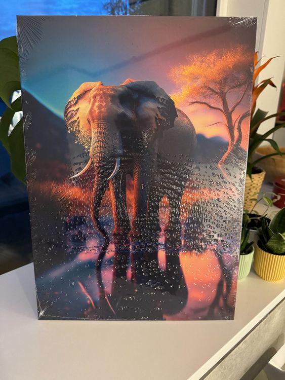 Wandbild Poster Elefant (45x32cm) - Displate (NEU) | Kaufen auf Ricardo