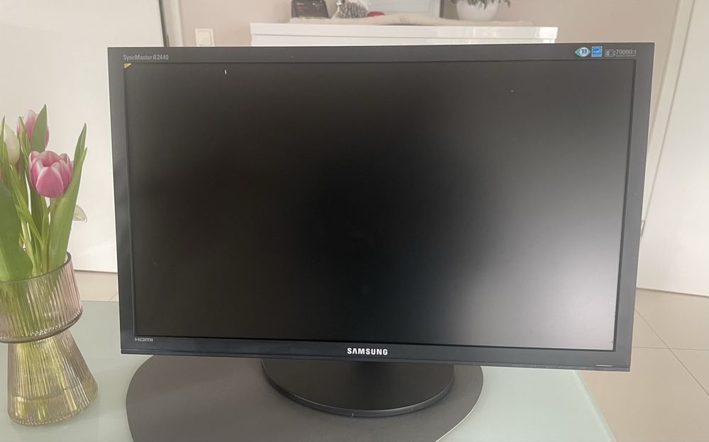 Samsung SyncMaster B2440 Bildschirm Monitor (Gebraucht) in Küssaberg ...