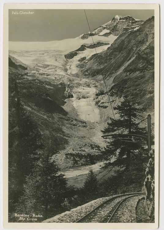 Albert Steiner St. Moritz Die Bernina Bahn Nr. 17 Alp Grün (Gebraucht ...