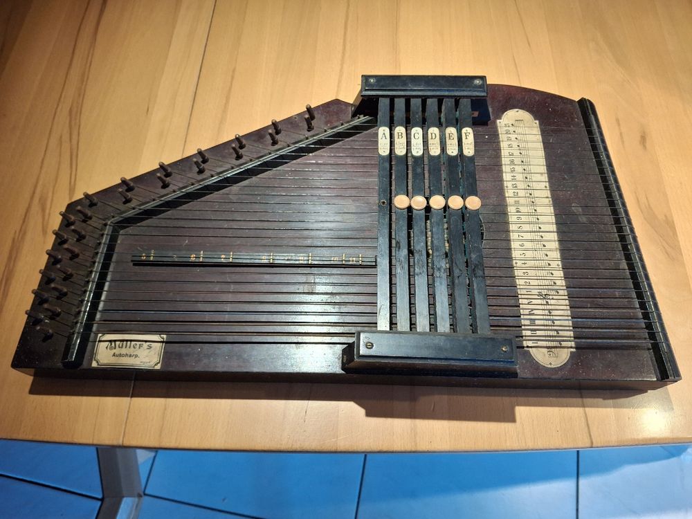 Zither | Kaufen auf Ricardo