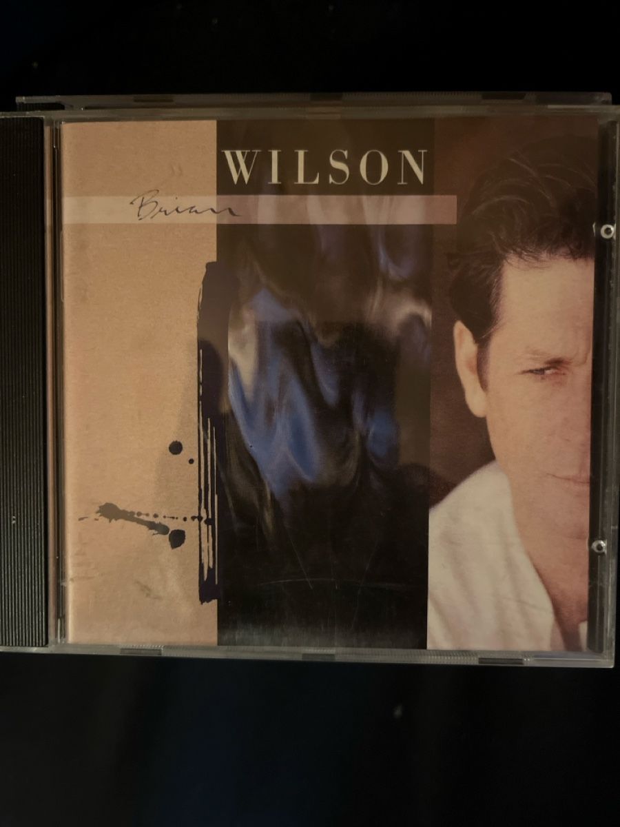 Brian Wilson - Brian Wilson (CD) - Sehr Gut! Top! (Gebraucht) in Giswil ...