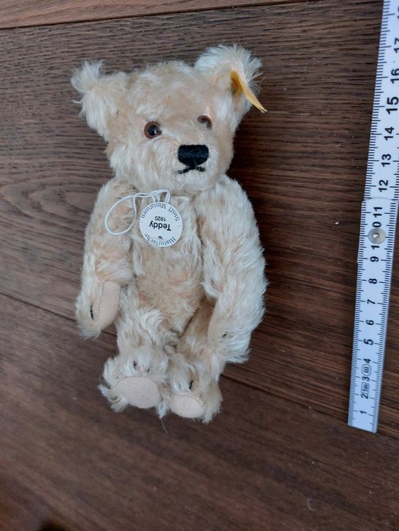 Original Steiff Bär, 17 cm gross (Gebraucht) in Pfäffikon ZH für CHF 18 ...