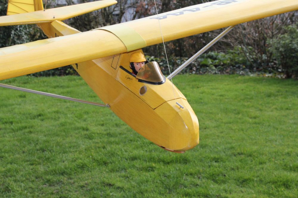 Grunau Baby - Oldtimer Segelflieger (Neu (gemäss Beschreibung)) in ...