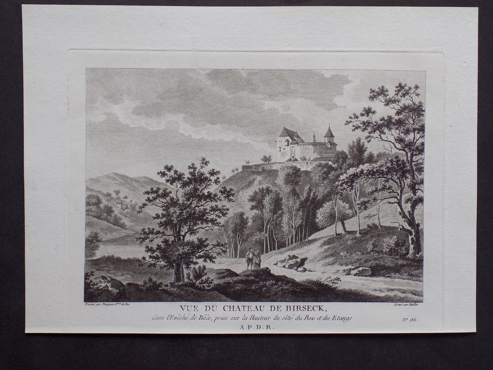 Vue du Château de Birseck Arlesheim | Kaufen auf Ricardo