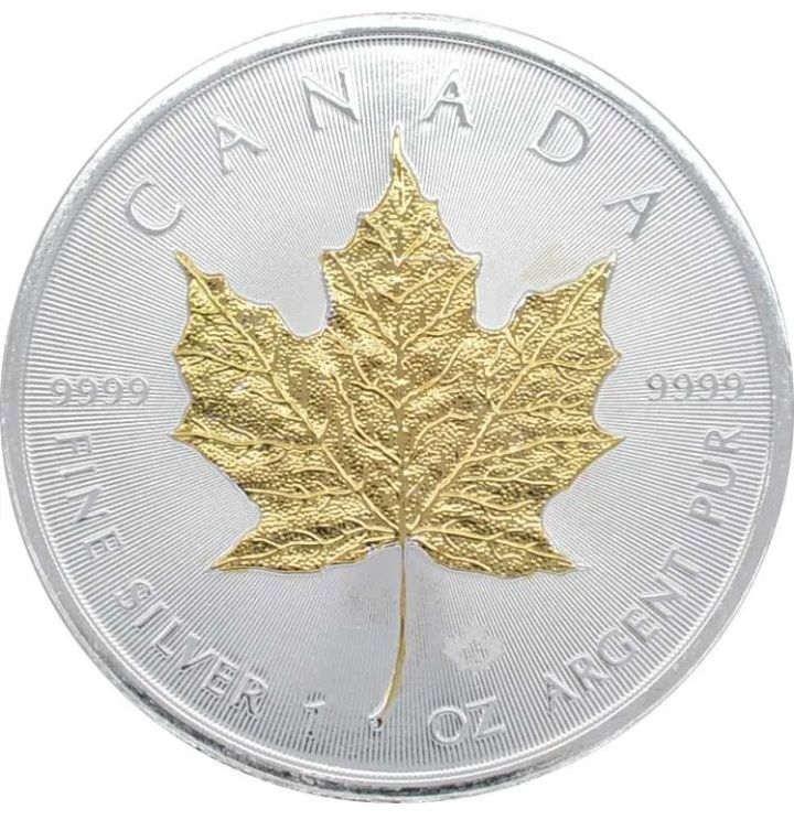 1 OZ Silber Maple Leaf Canada 2024 gilded in Kapsel (Neu und originalverpackt) in für CHF 49 ...