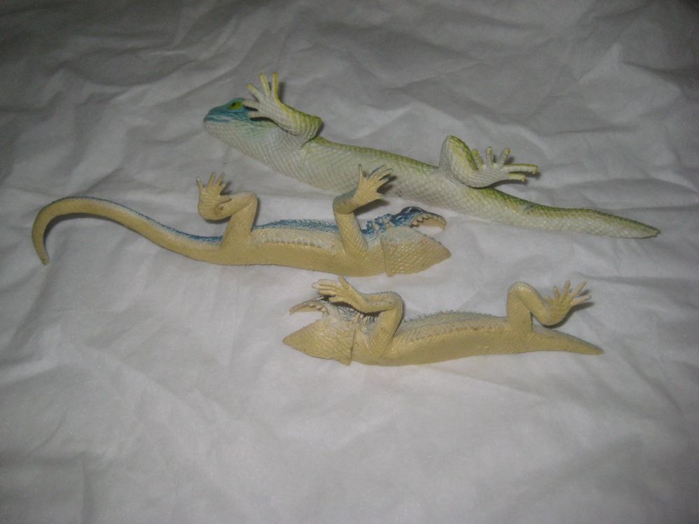 ECHSEN AUS GUMMI (Gebraucht) in Uster für CHF 5 – mit Lieferung auf Ricardo kaufen