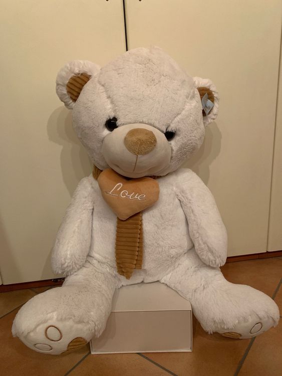 Teddypear Plush Gröss 60 cm, NEU (Neu und originalverpackt) in Muzzano ...