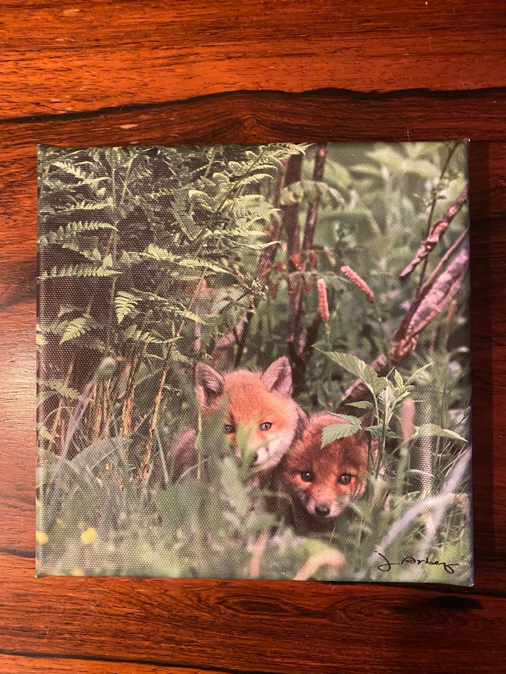 Tableaux / lynx , renardeaux, pie grieche (D'occasion) à Begnins pour ...