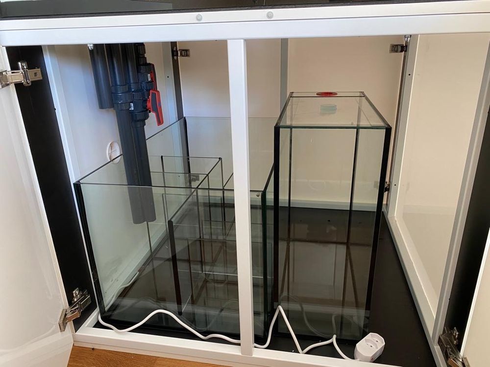 Meerwasser Aquarium 100x100x70 (Neu (gemäss Beschreibung)) in Berikon für CHF 4780 – nur ...