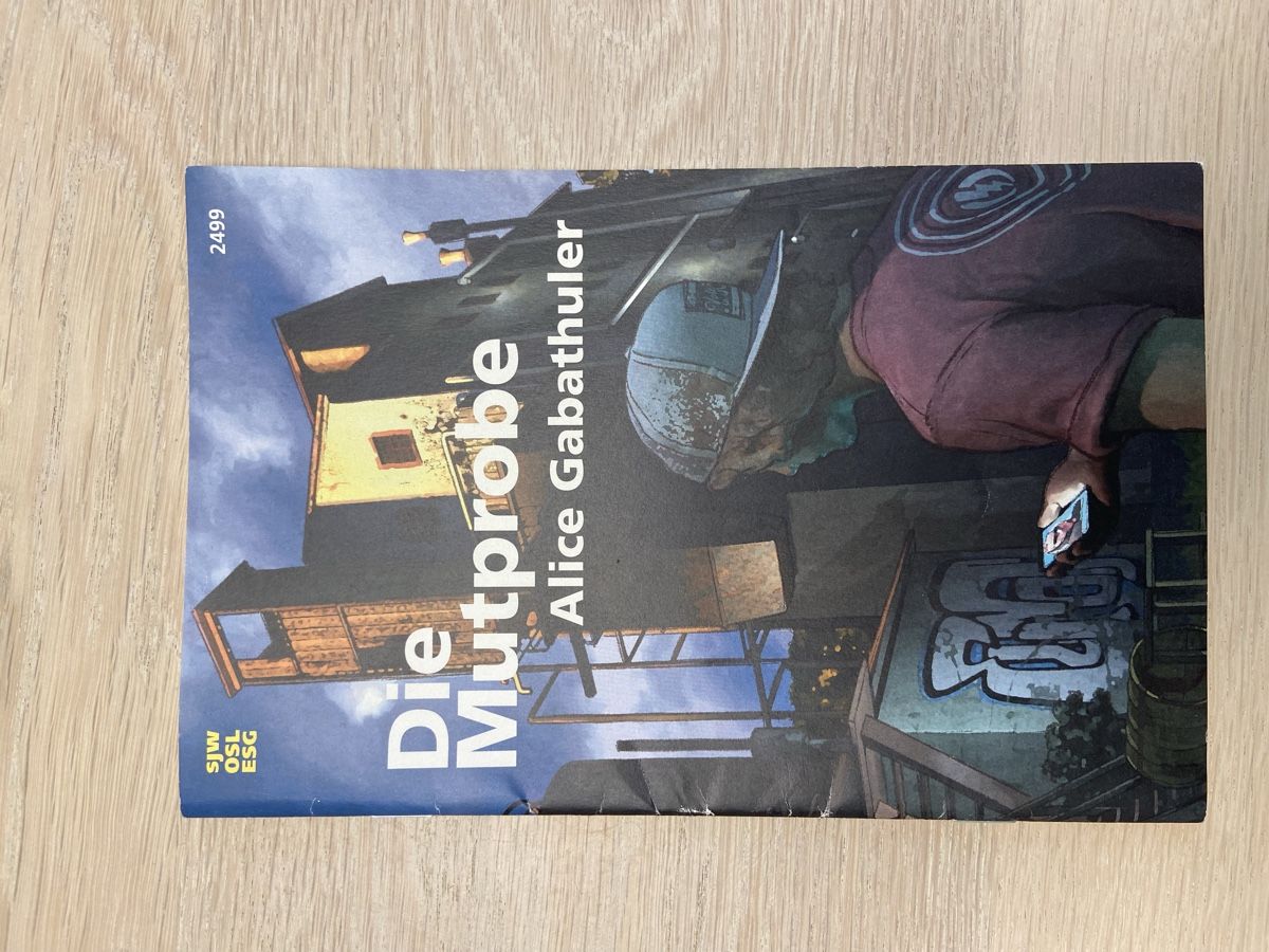 Die Mutprobe - Alice Gabathuler, Jugendbuch (Gebraucht) in Oberwil BL ...