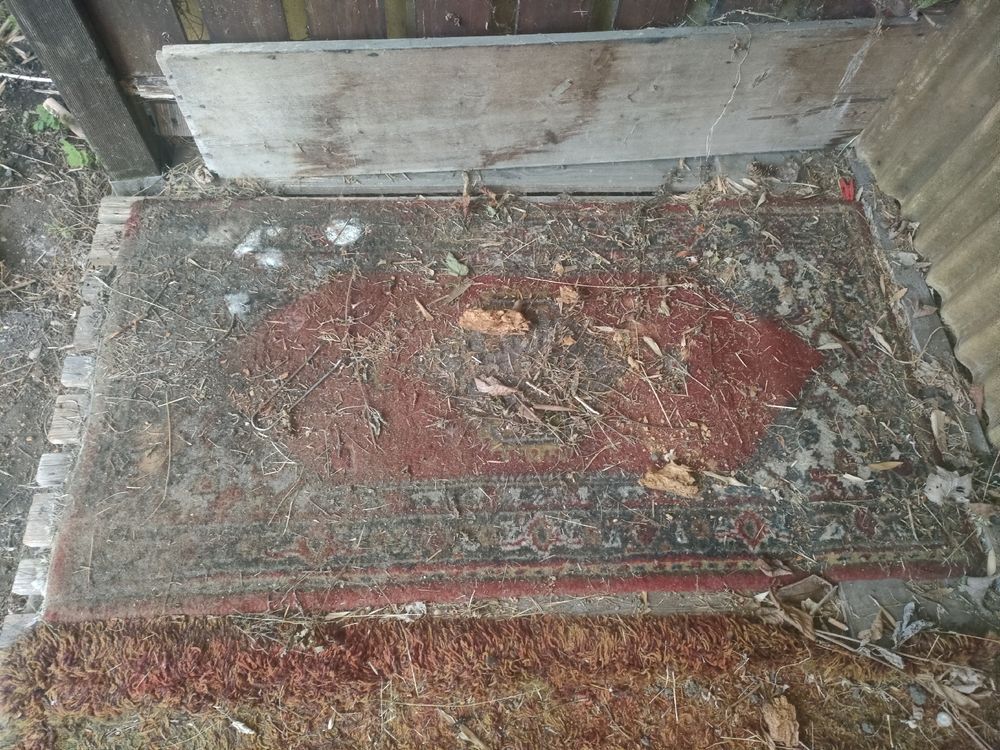 alter Teppich abzuholen (Defekt) in Wil SG für CHF 1 – mit Lieferung auf Ricardo kaufen