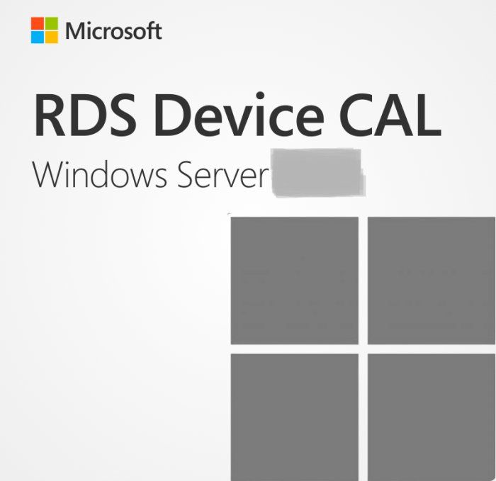 Server 2025 RDS 50 Device CAL´s Express Email in Minuten NEW (Gebraucht ...