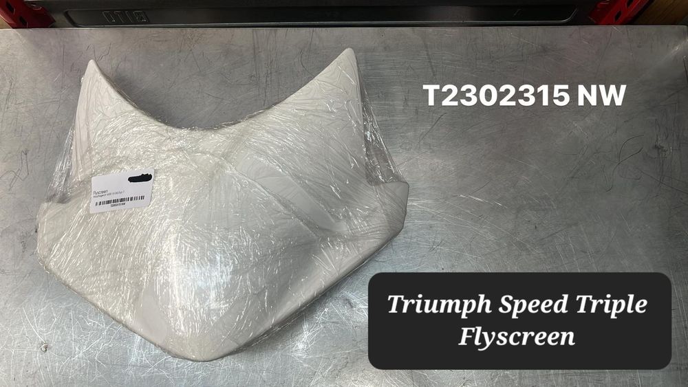 Triumph Speed Triple Flyscreen T2302315 NW (Gebraucht) in Alpnach Dorf ...