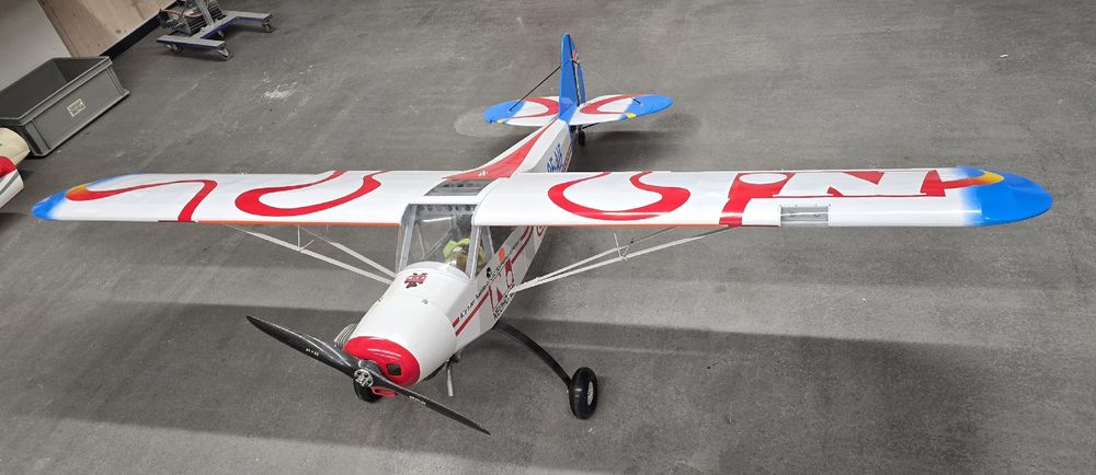 Piper Cup | Kaufen auf Ricardo