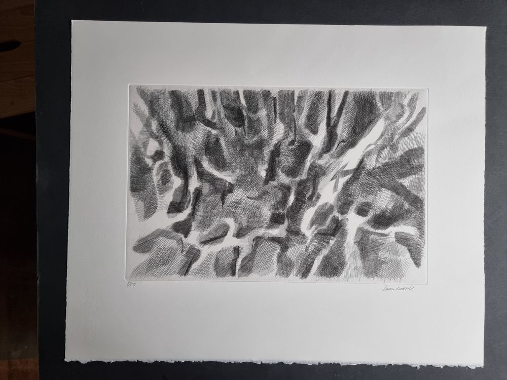 CORNU JEAN KUPFERSTICH SIGNIERT NUMMERIERT (RACINES ) (Gebraucht) in Gersau für CHF 38 – mit ...