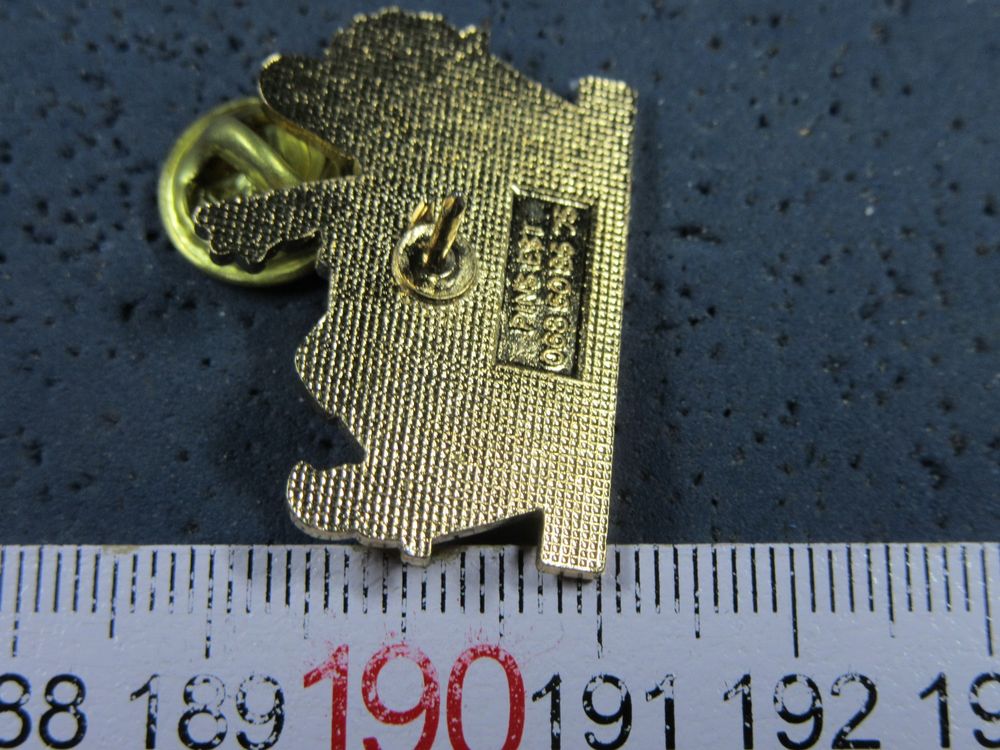 FASNACHT WAGGIS PIN (Gebraucht) in Ettingen für CHF 0.5 – mit Lieferung ...