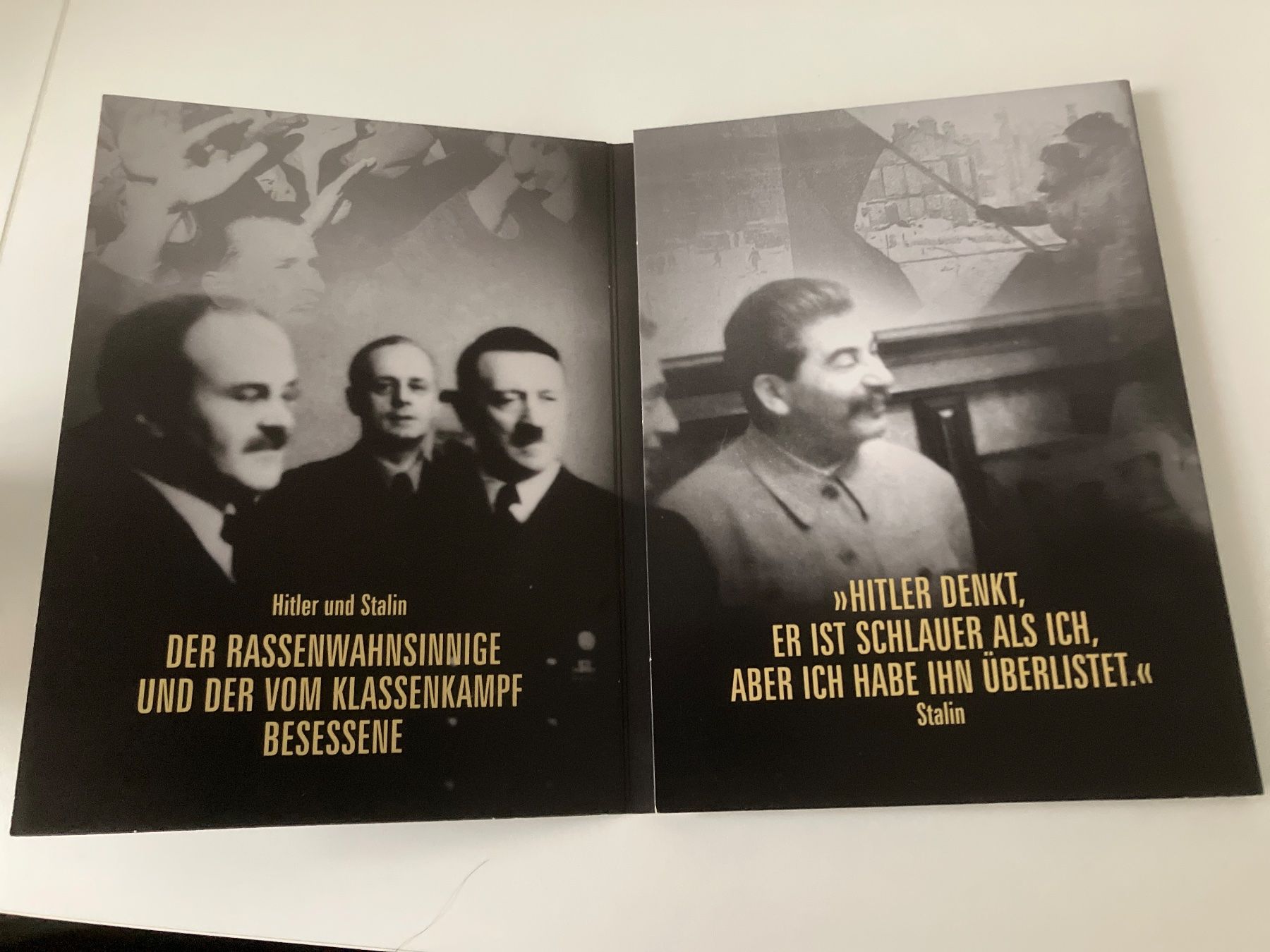 Hitler & Stalin - Porträt einer Feindschaft (DVD) (Gebraucht) in Arbon ...