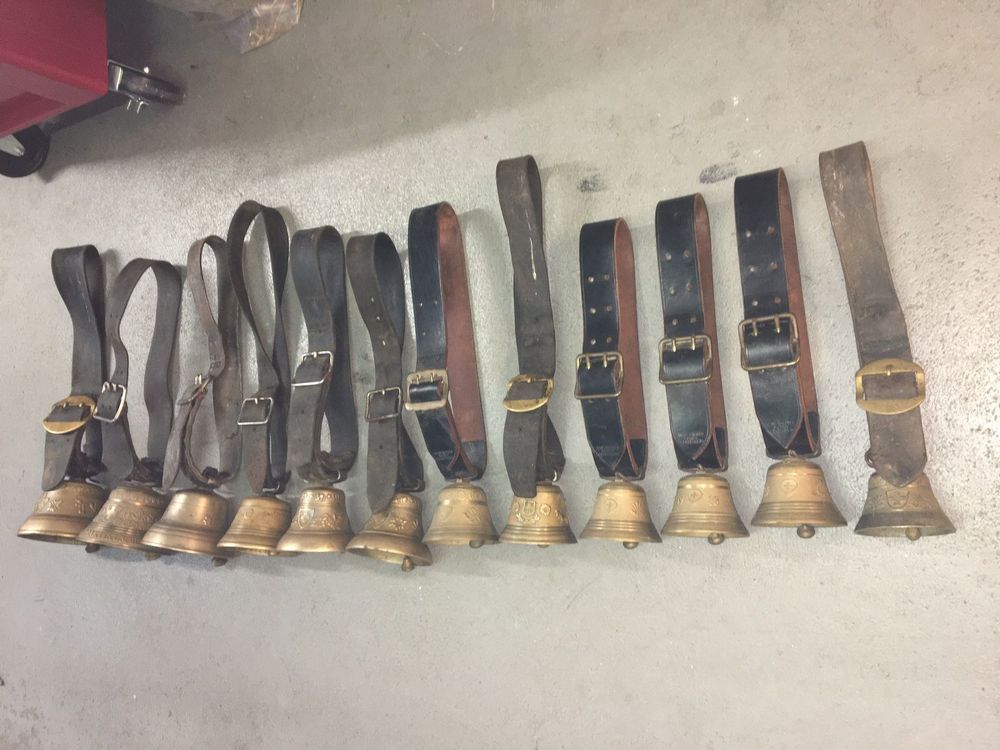 12 Glocken ab 1.00 Fr. (Gebraucht) in Birrhard für CHF 1300 – mit ...