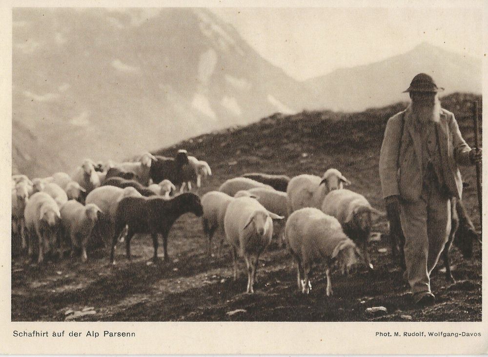 Davos,Landwirtschaft,Schafhirt,M.Rudolf | Kaufen auf Ricardo