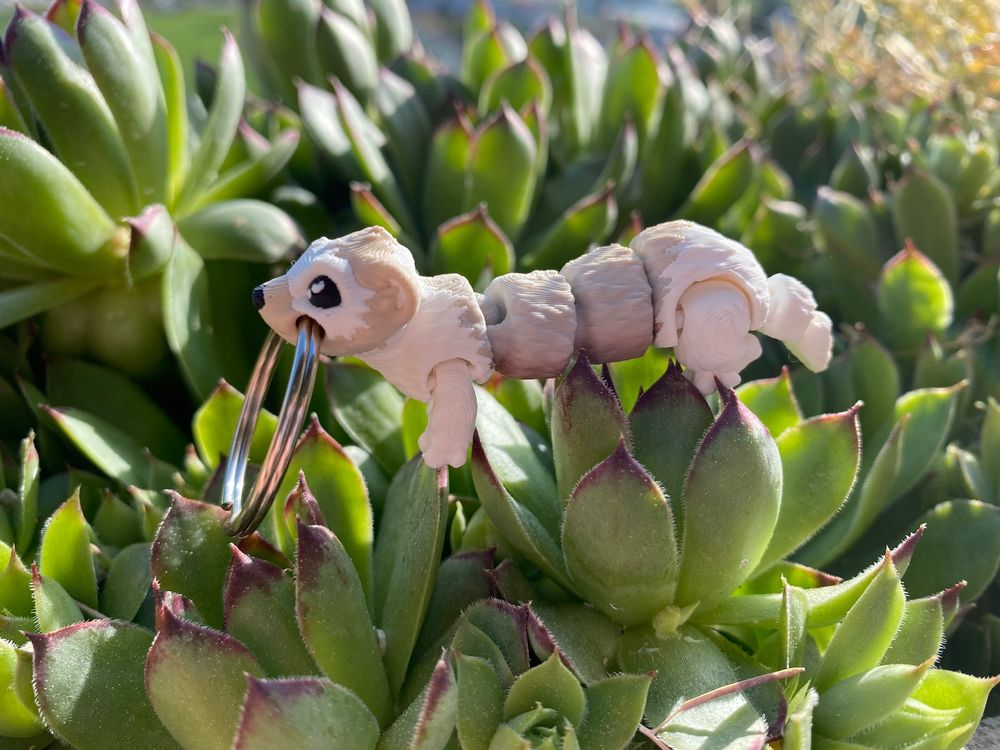 Mini Frettchen Anhänger (S) - Braun/Weiss- 3D Druck (Neu (gemäss ...