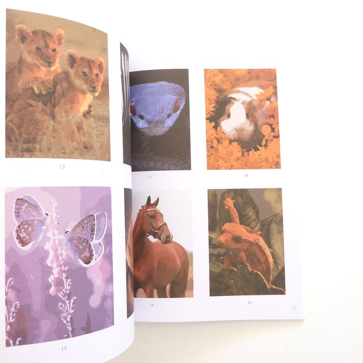 Malen nach Zahlen - 72 Blatt - A4 - Malbuch - Tiere (Neu und originalverpackt) in Basel für CHF ...