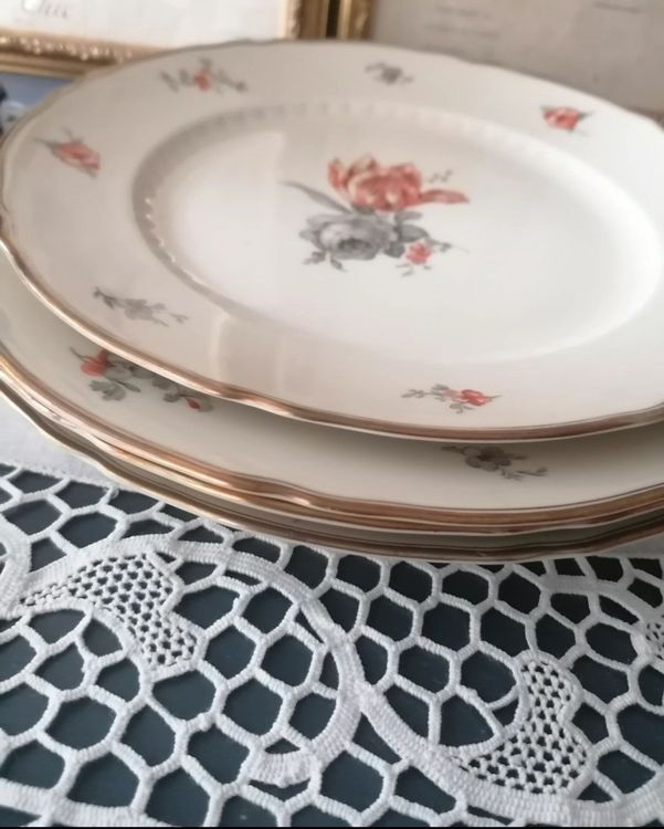 Antike Teller Langenthal, Set 12 Stk (Gebraucht) in Aegerten für CHF 36 – mit Lieferung auf ...