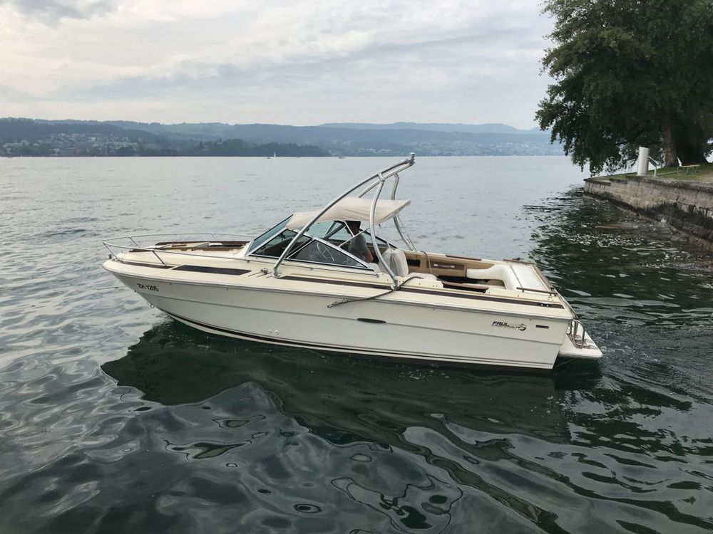 Sea Ray SRV 210CC | Kaufen auf Ricardo