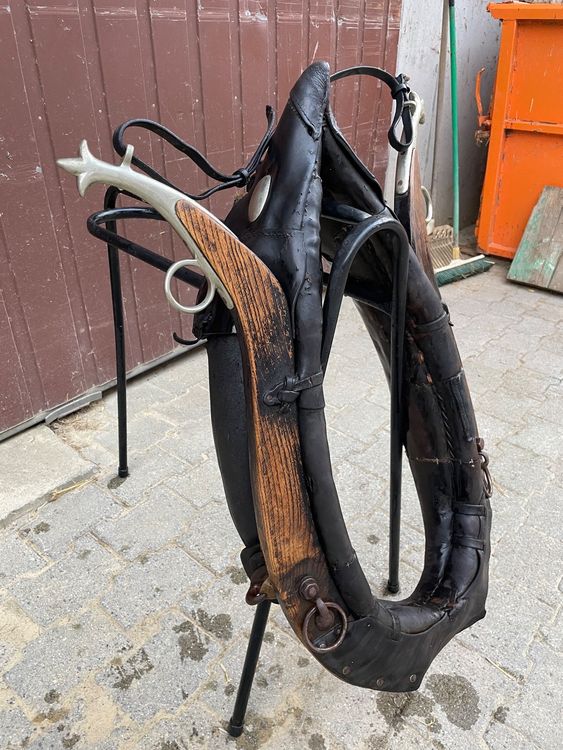 Bünder Kummet | Kaufen auf Ricardo