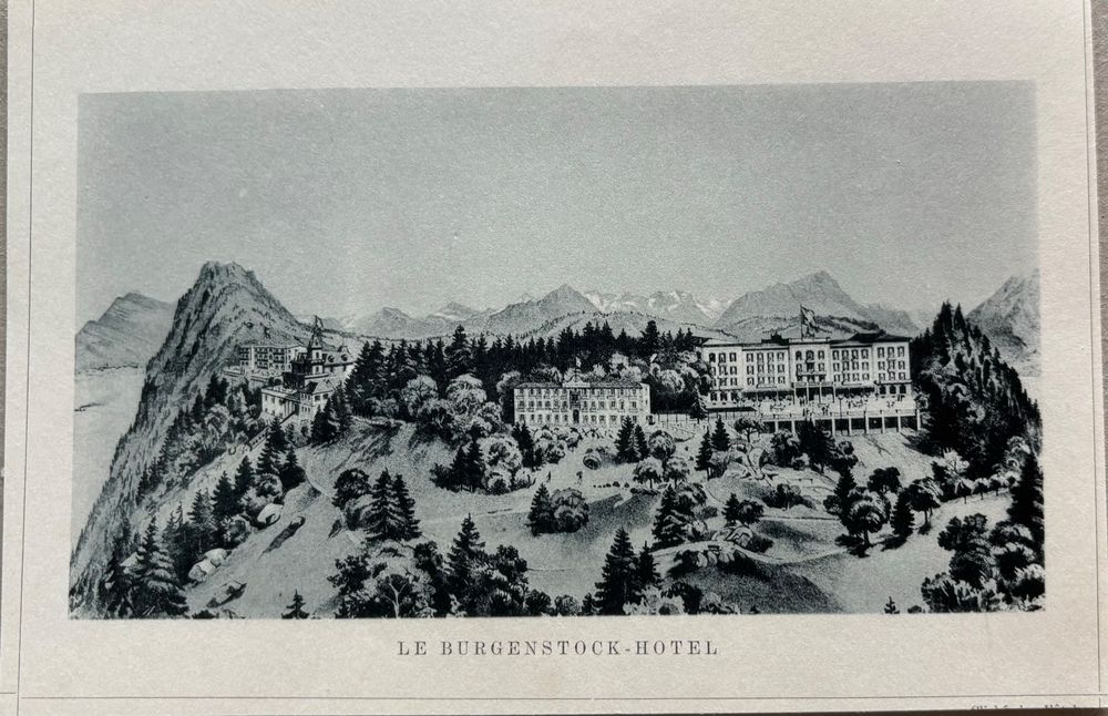 Lichtdruck, 1895 - Bürgenstock Hotel (Gebraucht) in Frauenfeld für CHF 3.8 – mit Lieferung auf ...