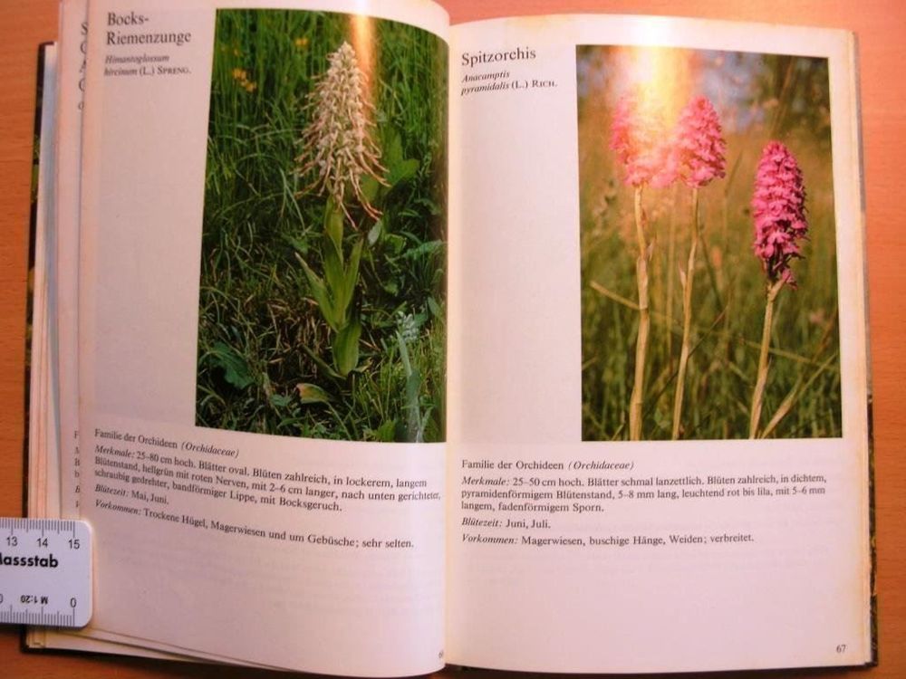 Kostbarkeiten unserer Heimat, Geschützte Tiere und Pflanzen (Gebraucht) in Grenchen für CHF 4 ...