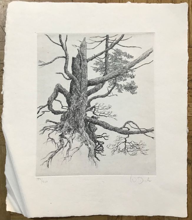 Walter DICK (1950) Radierung Handsigniert | Kaufen auf Ricardo