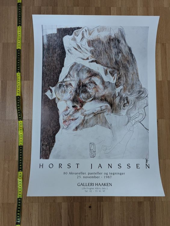 Horst Janssen Signierter Kunstdruck Galleri Haaken (Gebraucht) in ...