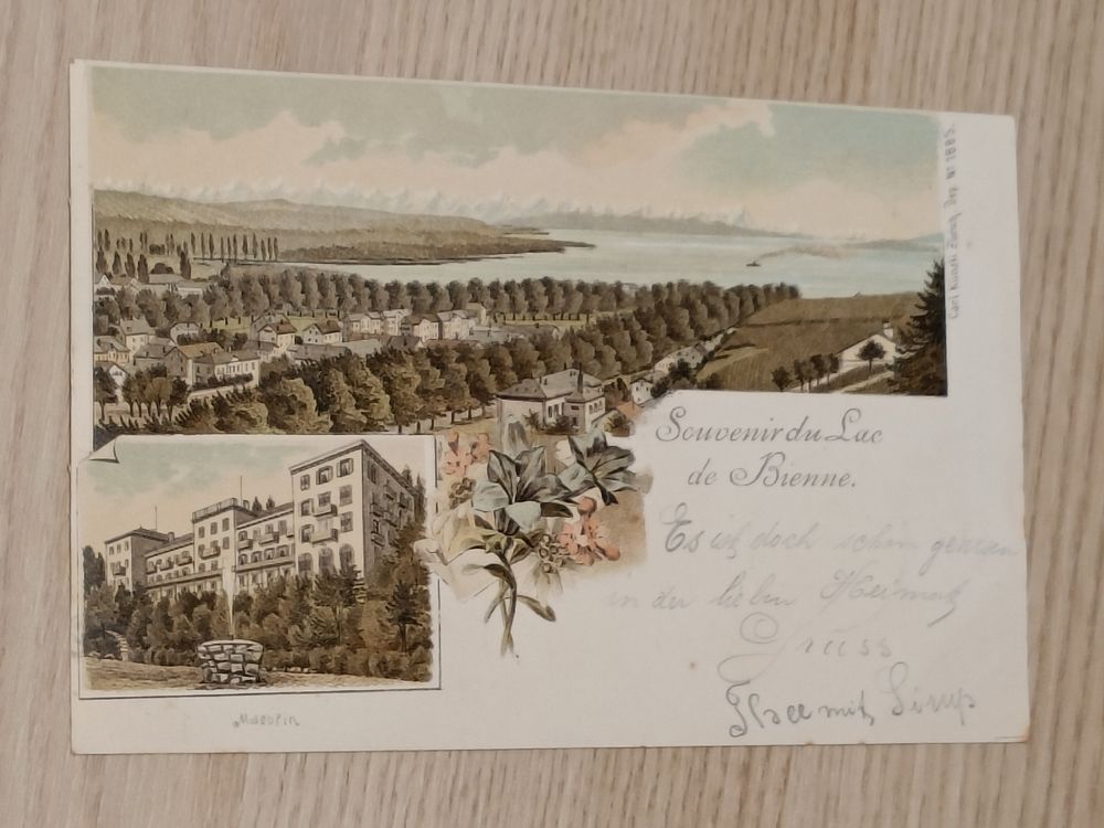 Litho PK / Souvenir du Lac de Bienne Gelaufen 1899 (Gebraucht) in Brugg ...