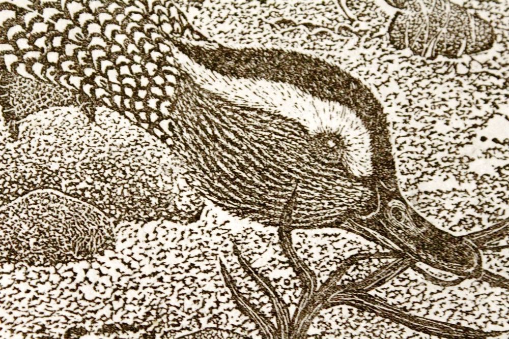 ULRICH IFF (Schweiz, 20. Jh.) (Gebraucht) in Bern für CHF 10 – mit Lieferung auf Ricardo kaufen