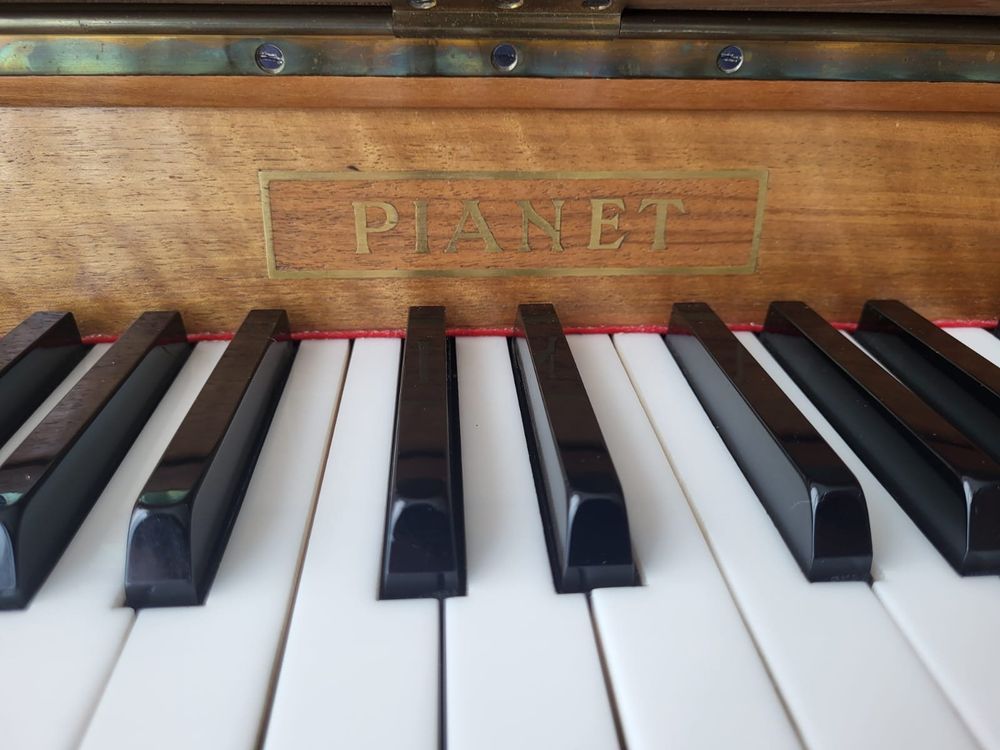Klavier Marke PIANET (Gebraucht) in Steg VS für CHF 21 – nur Abholung ...