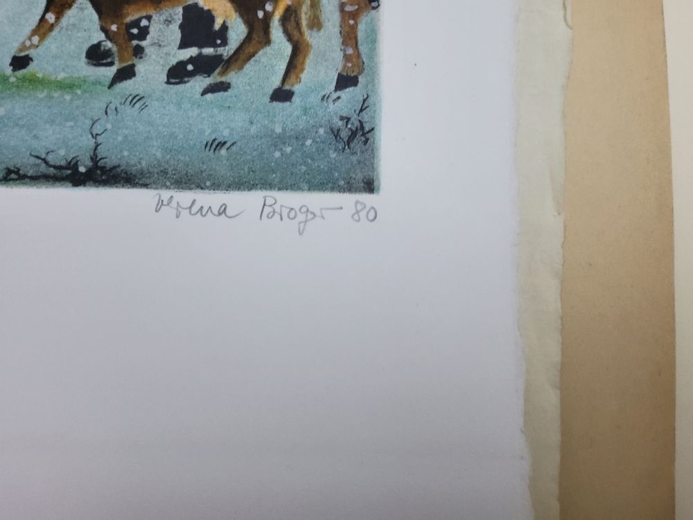 Verena Broger Druck // LOT-NR-075 (Gebraucht) in Hauptwil für CHF 500 – nur Abholung auf Ricardo ...