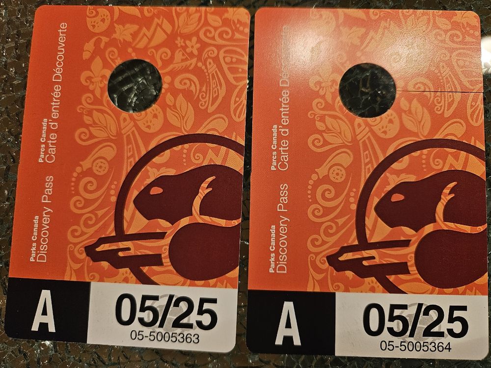 2x Parks Canada Pässe (Discovery Pass) - Gültig bis 05/2025 (Gebraucht ...