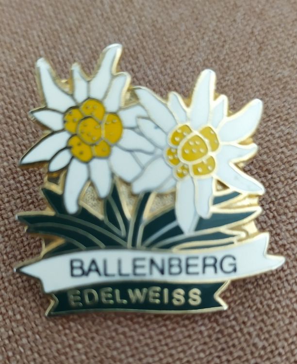 Pin Ballenberg Edelweiss (Gebraucht) in Chezard St-Martin für CHF 2 – mit Lieferung auf Ricardo ...