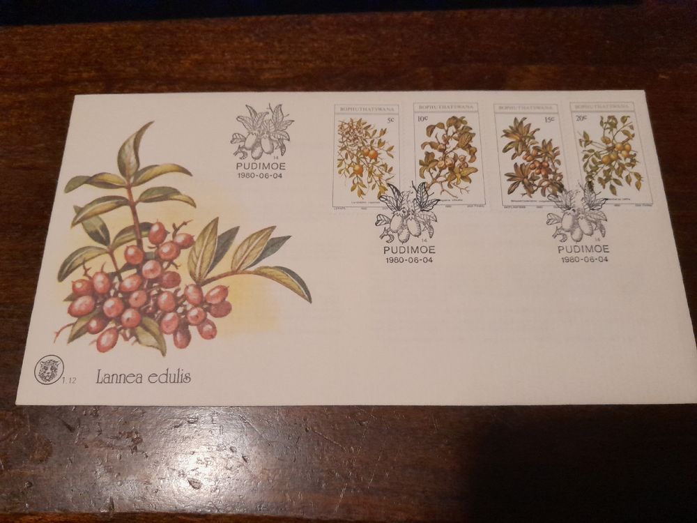 Carte postale botanique rare Pudimoe 1980, Lannea edulis (Gebraucht) in ...