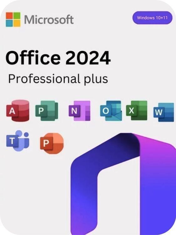 Microsoft office 2024 professional plus l 1 PC l Lifetime (Gebraucht ...