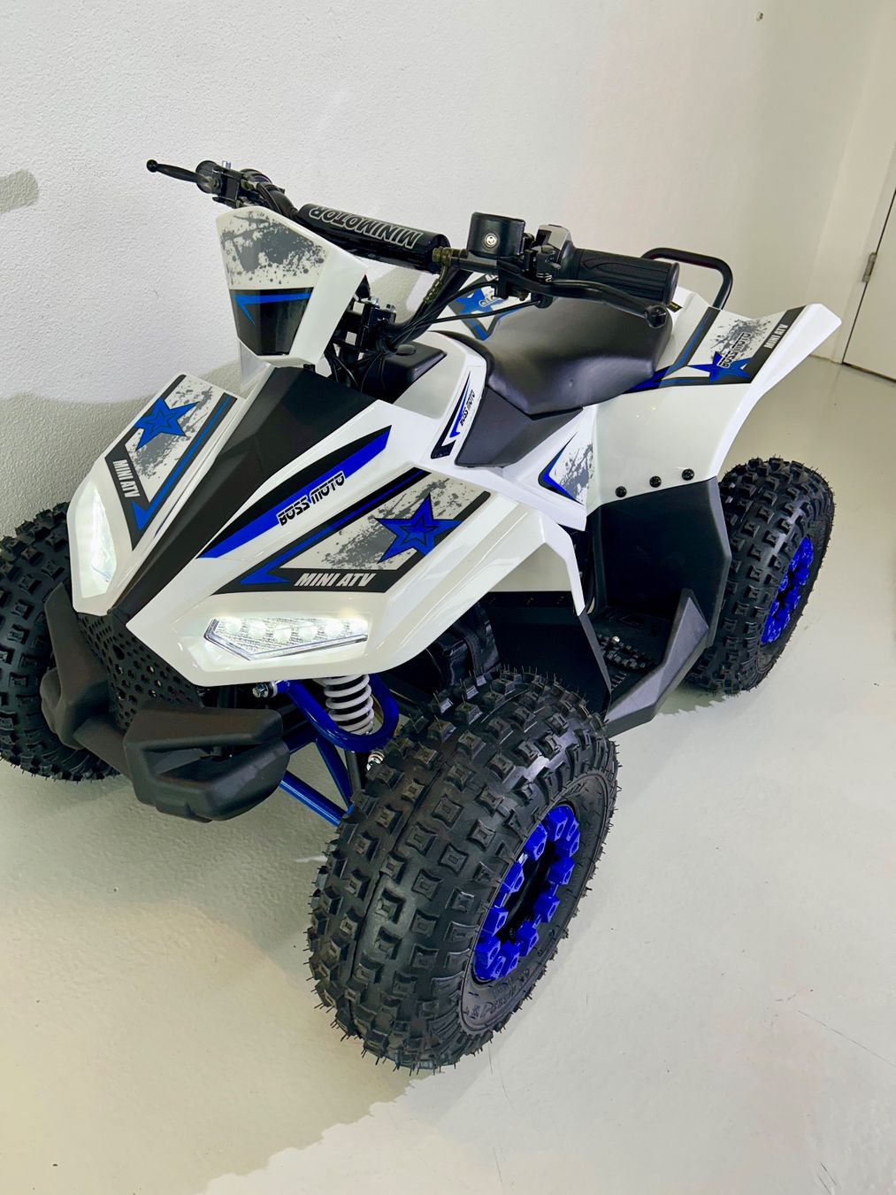 Elektro Quad ATV 1200 48V E- Quad xxl f Kinder (Neu und ...