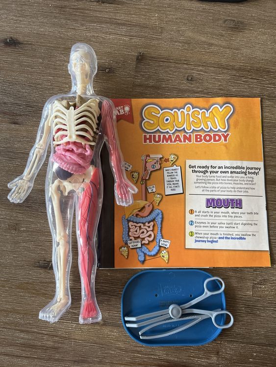Kids toy - human body | Kaufen auf Ricardo