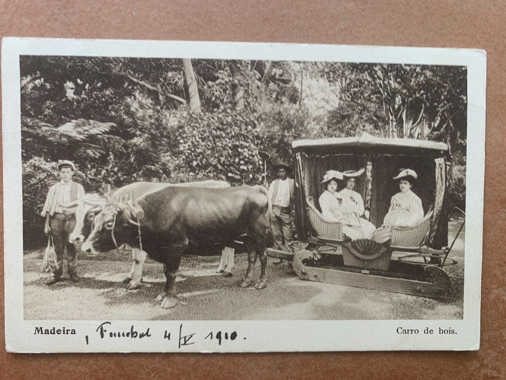 ESPAGNE -- Madeira -- 1910 -- Carro de bois | Kaufen auf Ricardo