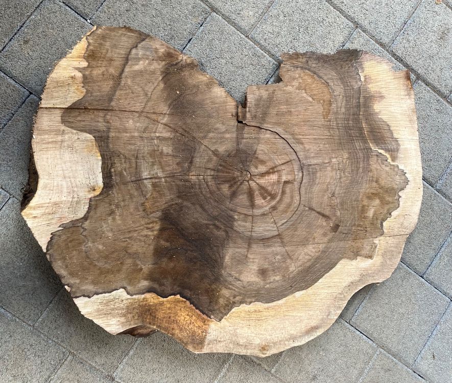 Baumscheibe Nussbaum | Kaufen auf Ricardo