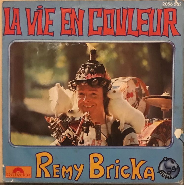 REMY BRICKA - LA VIE EN COULEUR | Kaufen auf Ricardo