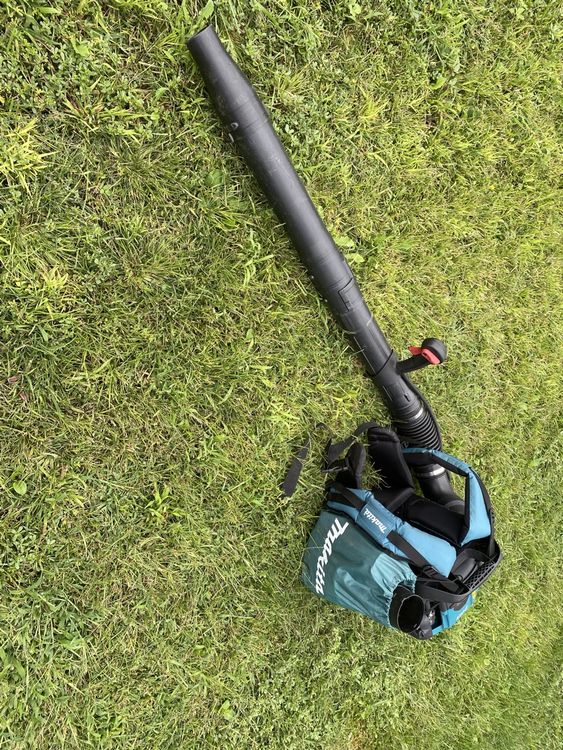 Laubblaser Profi Makita 4Takt EB5300TH Wie Neu (Gebraucht) in Castione ...