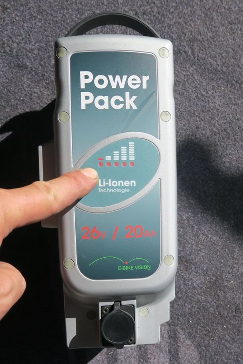 Ebike Flyer 40km/h mit neuerer Batterie 20Ah | Kaufen auf Ricardo